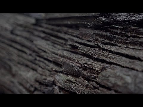 Retour sur les engagements du Fonds de Dotation Roullier